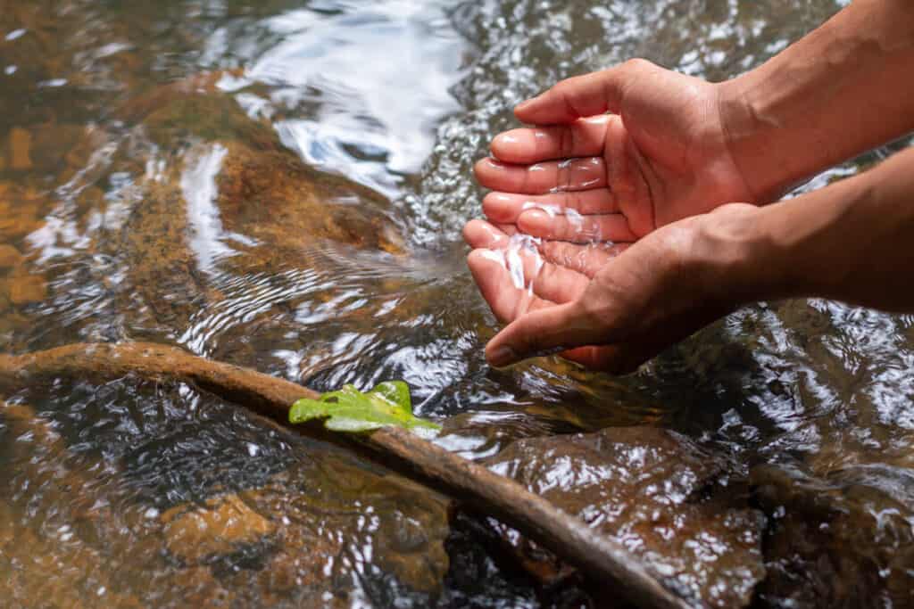 6 Simple Ways To Purify Water In The Wild - CampingEssentialsAndMore.com